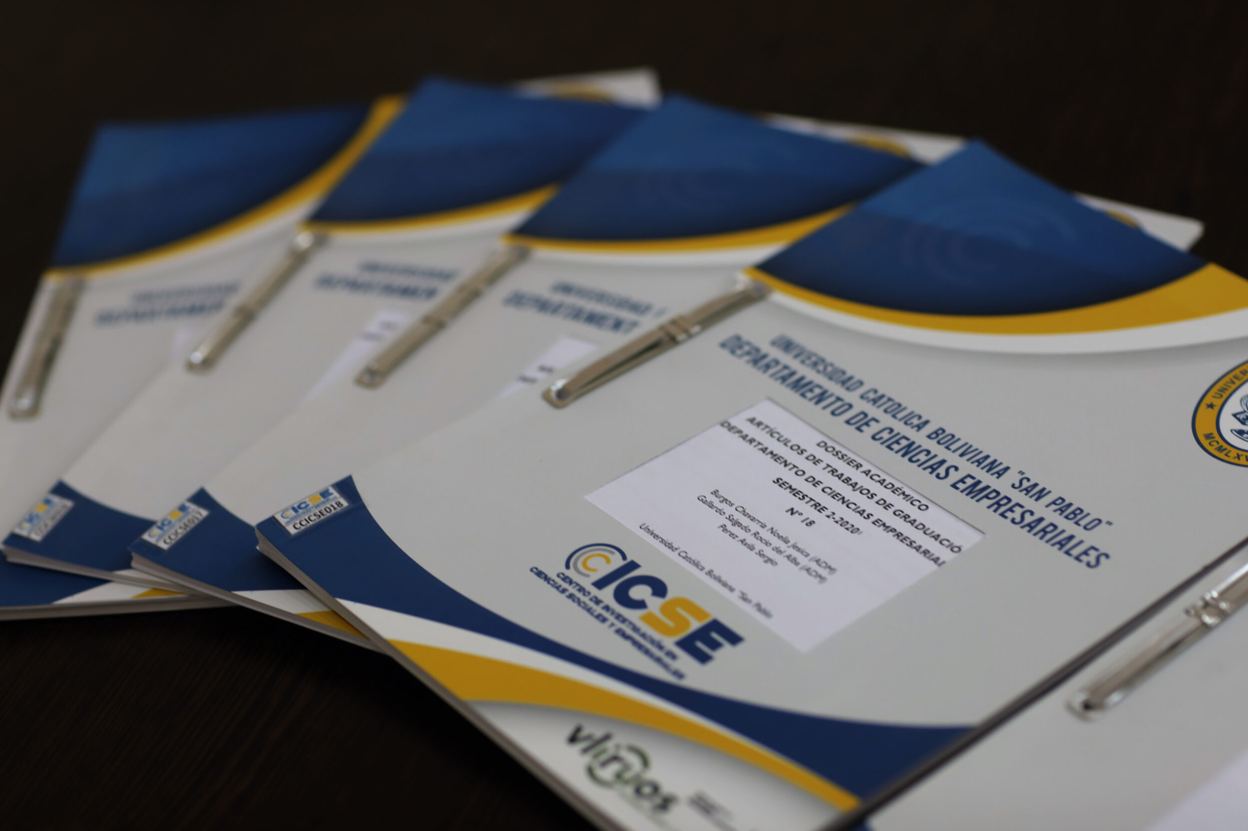 Cuadernos de Investigación – Cicse